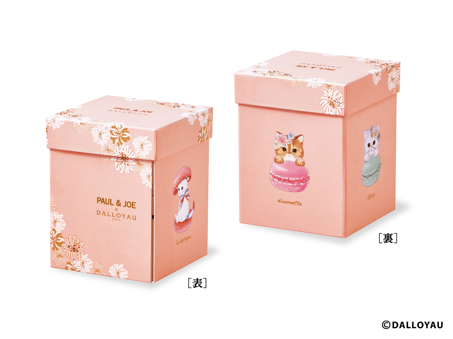 PAUL & JOE(ポールアンドジョー)×ダロワイヨ、初コラボが実現！「ジプシー」「ヌネット」「ジョセフィーニャ」のキュートな猫たちを ...